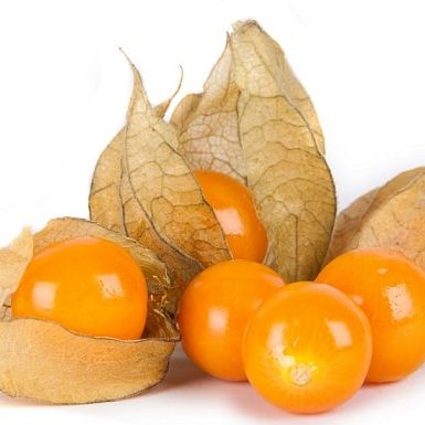 inicio - Hass Fruits Colombia Venta de Fruta Colombiana al por Mayor y ...